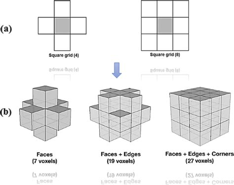 a 2d structuring elements b 3d structuring elements download
