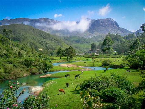 Facts About Kerala The God S Own Country Holidify