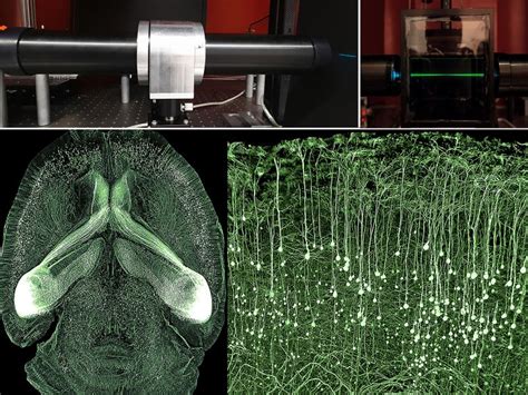 Saiedeh Saghafi On Linkedin Recent Developments In Meso Aspheric Based Light Sheet Generating