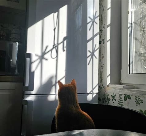 В Брянске могли через 14 лет вычислить маньяка по голосу и вранью полиграфу Брянский ворчун