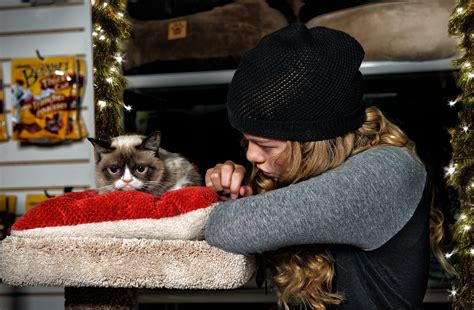 Grumpy Cat Desktop Wallpaper