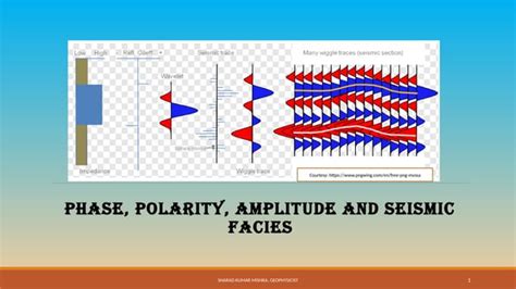 Phase Polarity Amplitude And Seismic Faciespptx