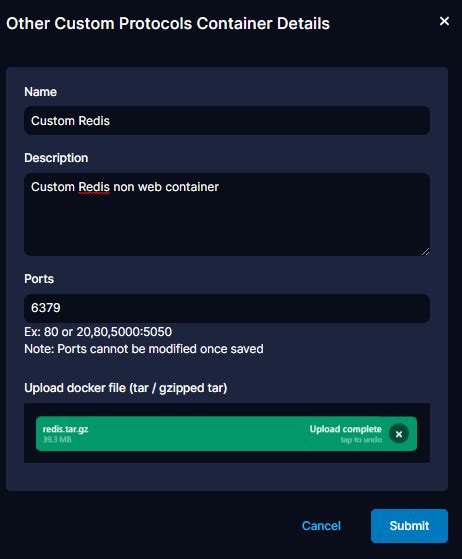 configuring a custom protocol container zscaler