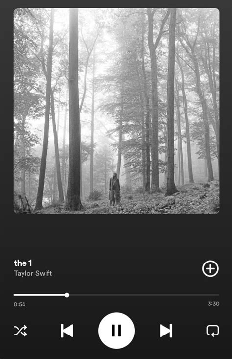 And If You Wanted Me You Really Shouldve Showed Rsoundtripph
