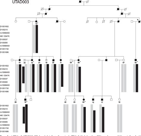 figure 1 from a dominant mutation in hexokinase 1 hk1 causes