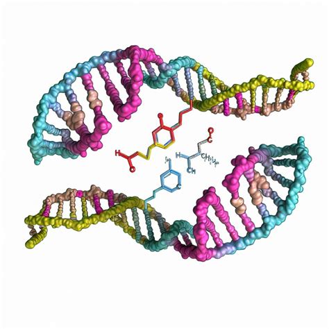 Biologpt What Is Rna