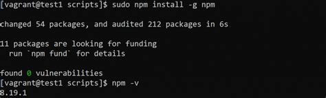 How To Install Node Js In Linux And Windows