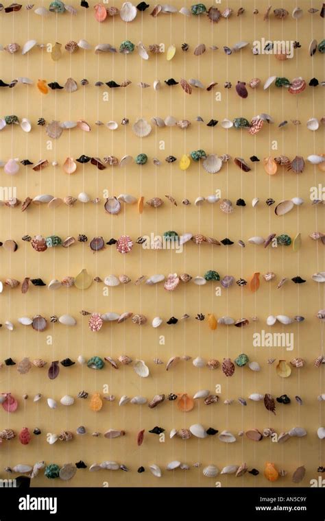 Strings Seashells Hi Res Stock Photography And Images Alamy