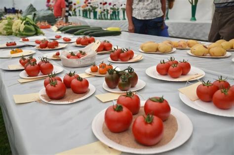 Flower And Vegetable Classes 2019 Mirfield Show