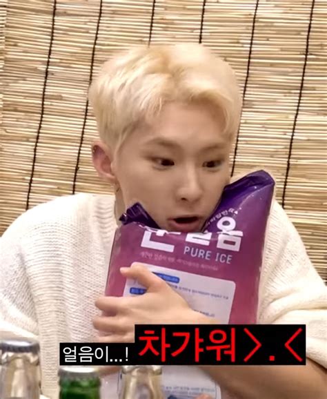 Blip 차린건 쥐뿔도 없지만 호싱이 🐯