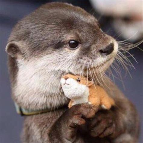 Вастрик Клуб ️‍