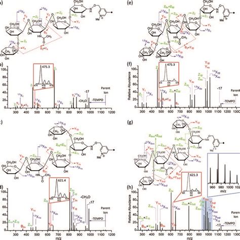 The Fragmentation Patterns Observed Following The Cid Of Download Scientific Diagram