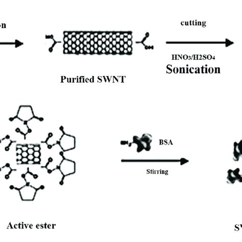 Derivatizing Reagents Sorted By Separation Techniques Download Table
