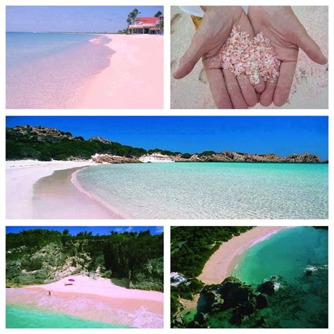 Pink Sand Beach Indonesia