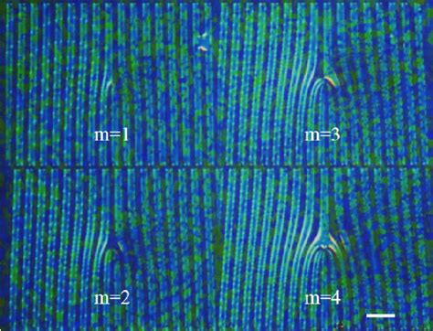 Micrograph Of A Psbplc Fork Grating Array With M Varying From 1 To 4 At
