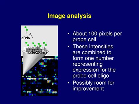 Ppt Introduction To Affymetrix Genechip Data Powerpoint Presentation Id658321