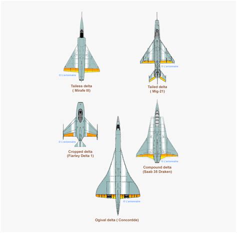 Delta Wing Aircraft