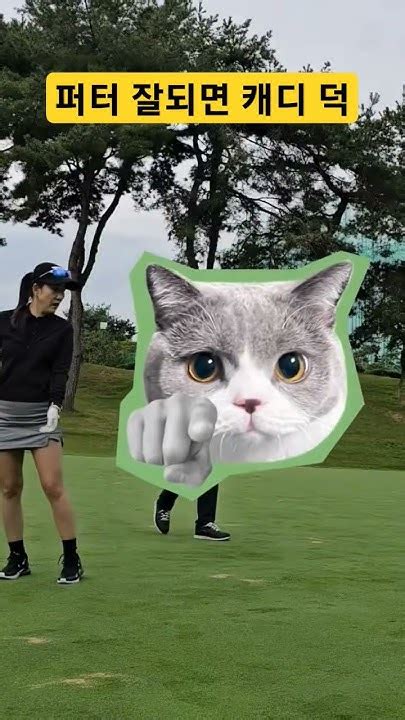 퍼터 잘되면 캐디 덕분 라운딩 퍼터 Golfswing 골린이 Youtube
