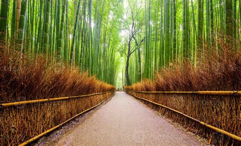 Arashiyama To Kyoto Kyotos Bamboo Forest The Complete Guide Azzu