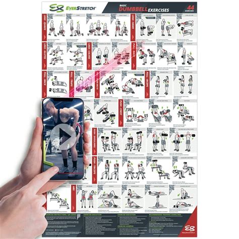 Bowflex Dumbbell Workout Chart Eoua Blog