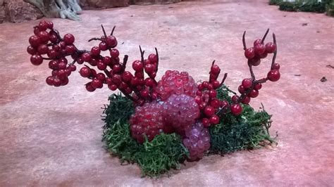 Plants And Trees Of Mars Part 2