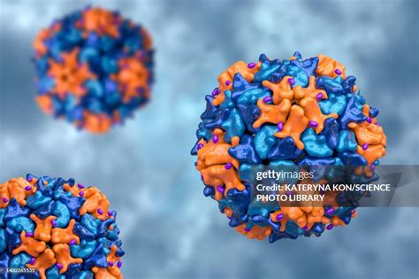 Poliovirus Particles Illustration High Res Vector Graphic Getty Images