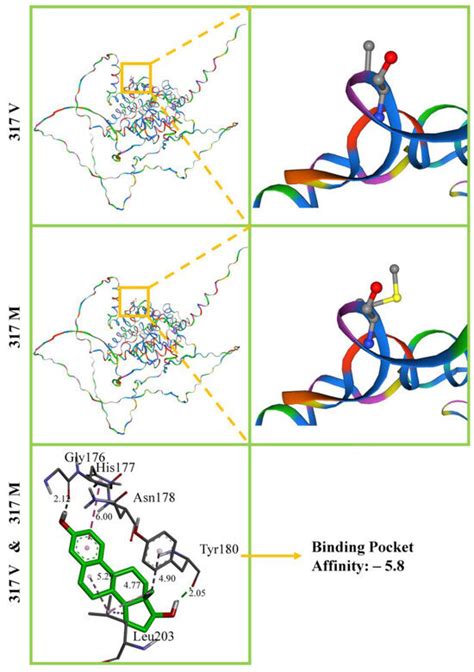 Mdpi Publisher Of Open Access Journals