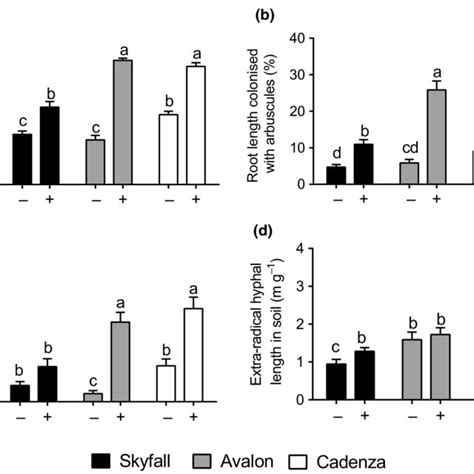 Root Colonization By Arbuscular Mycorrhizal Fungi A Total Download Scientific Diagram