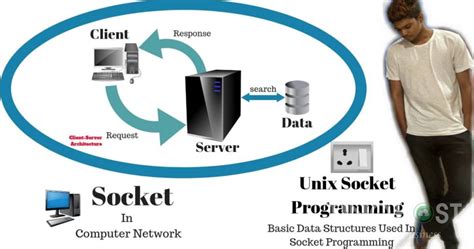 Linux Socket编程与网络通信实践指南 Csdn博客