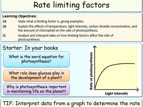 Rate Limiting Factors Teaching Resources