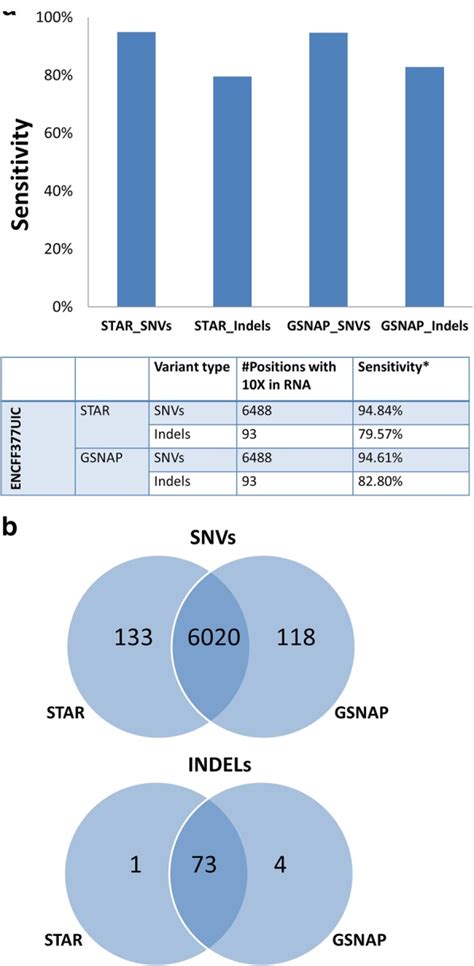 Indel Sensitive And Comprehensive Variantmutation Detection From Rna Sequencing Data For