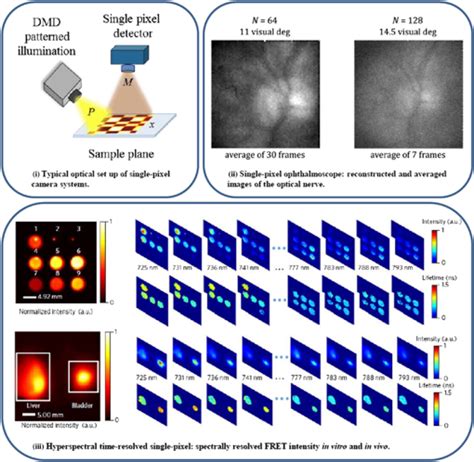 Review Of Structured Light In Diffuse Optical Imaging