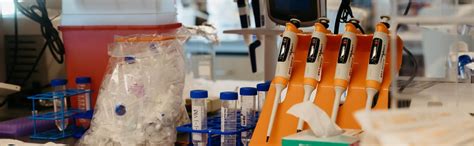 Hipsc Reprogramming And Cell Culture Ipsc Cc Module Department Of
