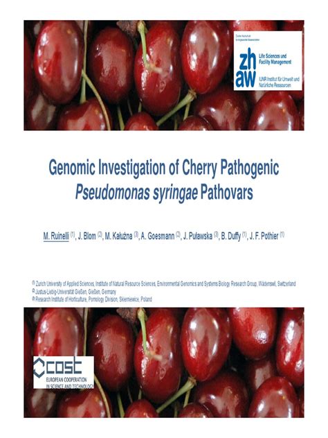 Genomic Investigation Of Cherry Pathogenic Pseudomonas Syringae Pathovars Pdf Pseudomonas