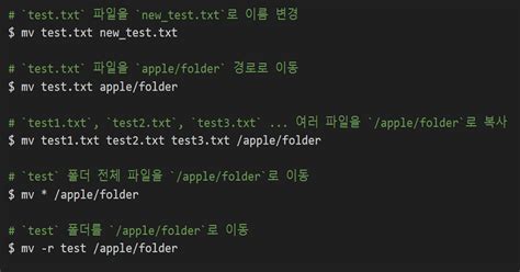 Linux Mv 명령어로 이름 변경 파일 디렉토리 이동