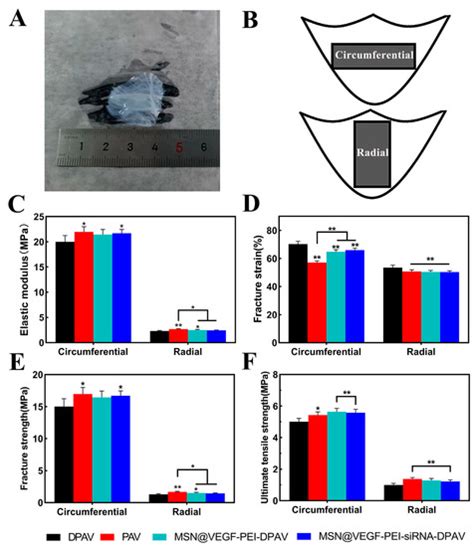 Bioengineering Special Issue Recent Progress In Cardiovascular Tissue Engineering And