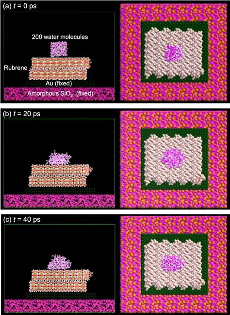 Md Simulation Of Water Diffusion On A Rubrene Au Amorphous Sio 2 Stack Download Scientific
