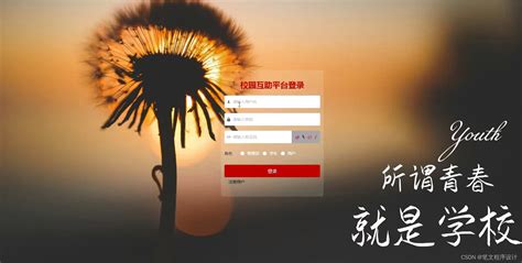 校园互助平台（源码开题） Csdn博客