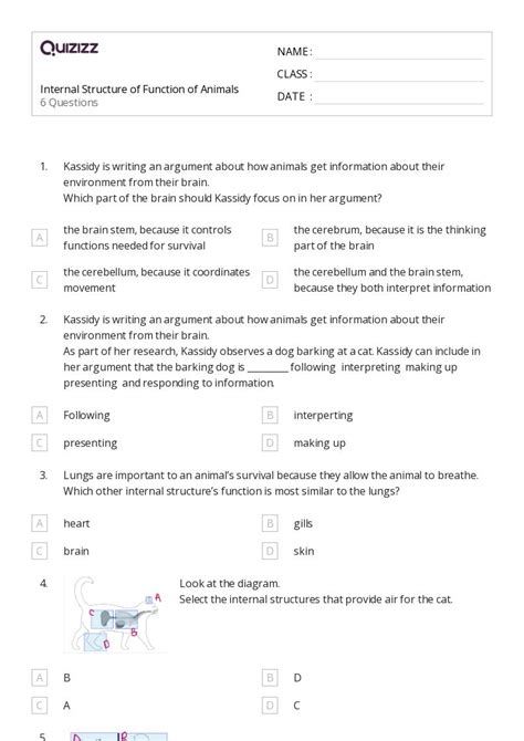 50 Argument Writing Worksheets For 4th Year On Quizizz Free And Printable