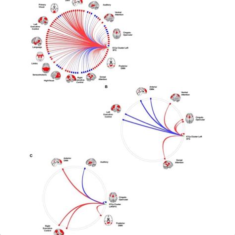 The Connection Profiles Of The Iccp Cluster In The Left Superior Download Scientific Diagram