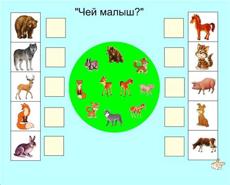 Дикие и домашние животные задания для дошкольников презентация