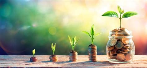 Daily Weekly Or Monthly Which Sip Frequency Gives Maximum Returns