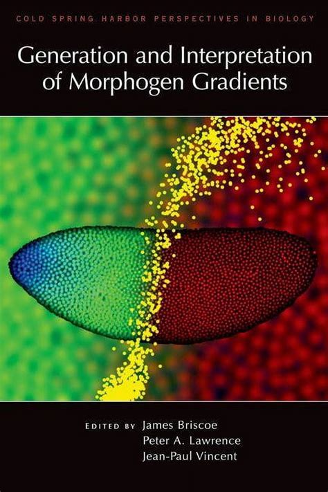 Generation And Interpretation Of Morphogen Gradients Hardcover