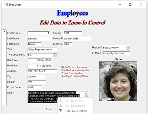 Streamline Zoom In Control Data Editing ~ Learn Ms Access Tips And Tricks