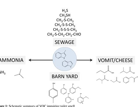 Figure 1 The Toilet Malodor Challenge