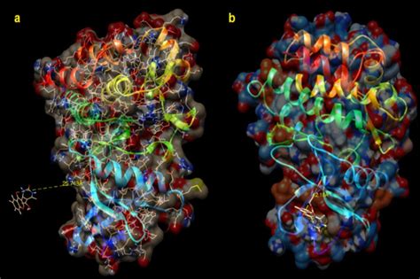 A Journey Towards Molecular Dynamics Thermodynamics 3— Free Energies