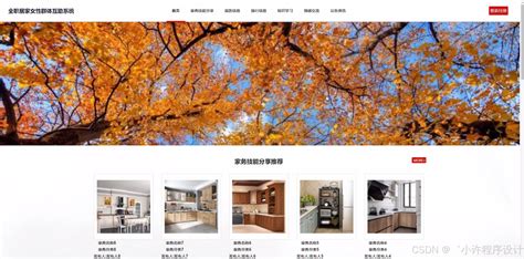 Python毕设 全职居家女性群体互助系统论文程序 Csdn博客