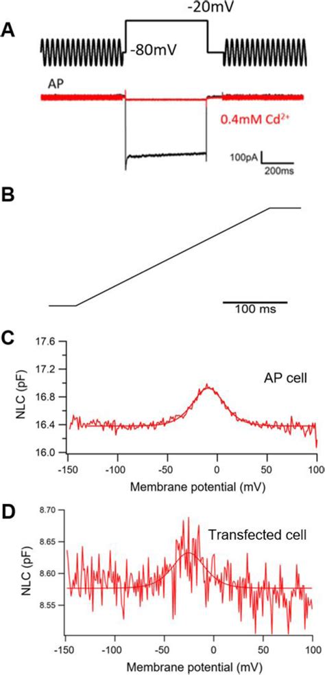 Capacitance Measurement Cells At Bethany Knibbs Blog