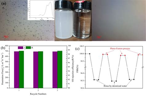 A Optical Micrographs And Particle Size Distribution Of Emulsions
