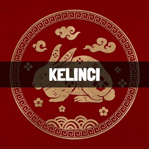 [quiz] Dari Shio Mu Ini Ide Bisnis Yang Cocok Untukmu